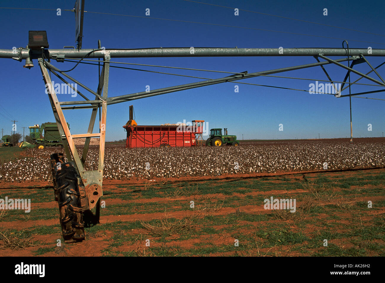 Irrigation system in cotton field Stock Photo - Alamy