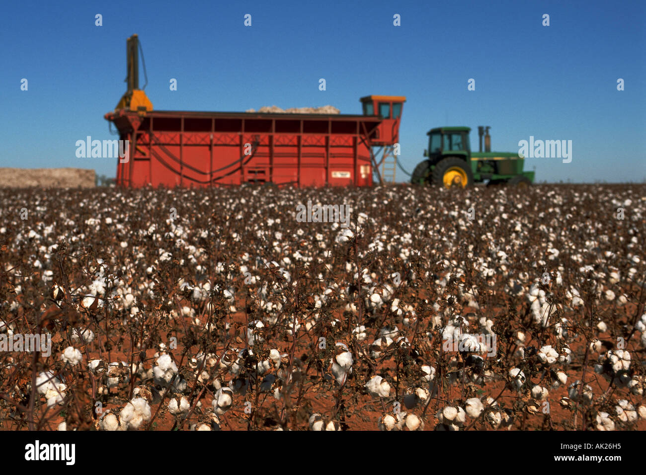 Cotton farming united states hi-res stock photography and images - Alamy