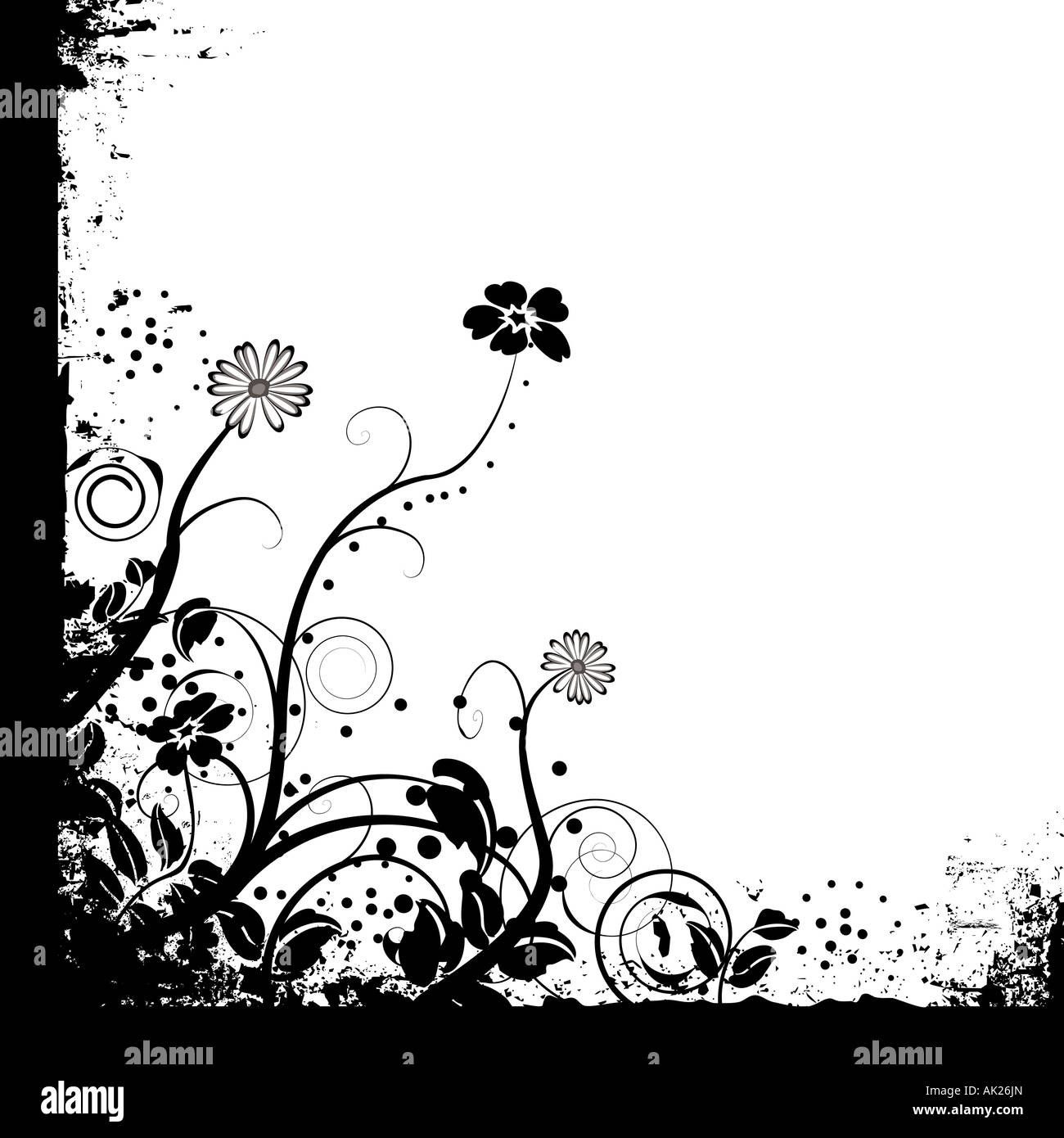 floral black and white mono background design with copy space Stock ...