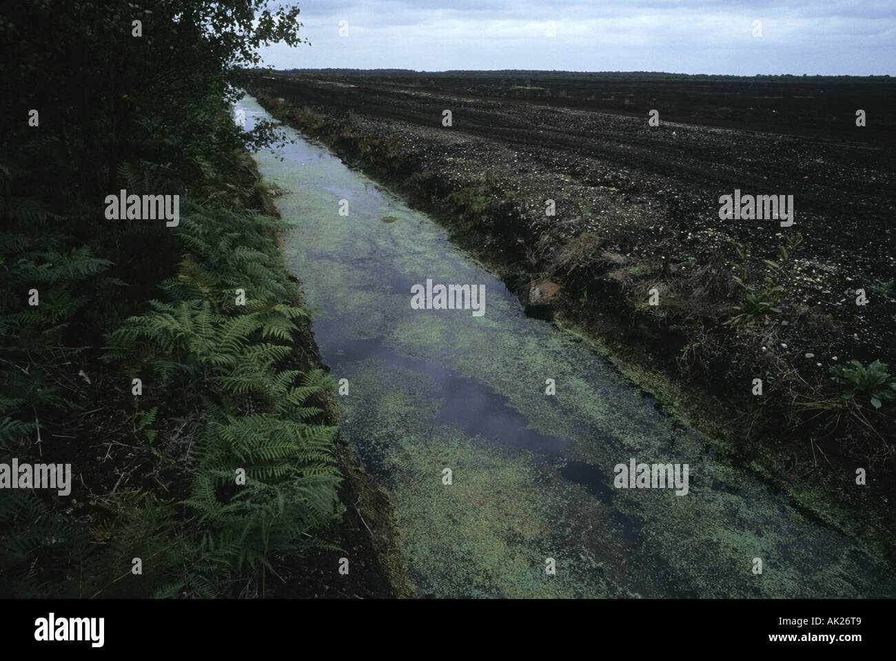 Extracted peat from Thorne Moors Stock Photo - Alamy