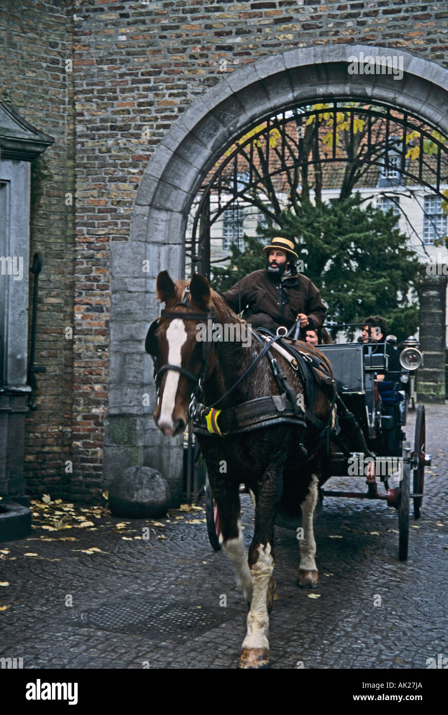 Female horse drawn carriage driver hi-res stock photography and images ...