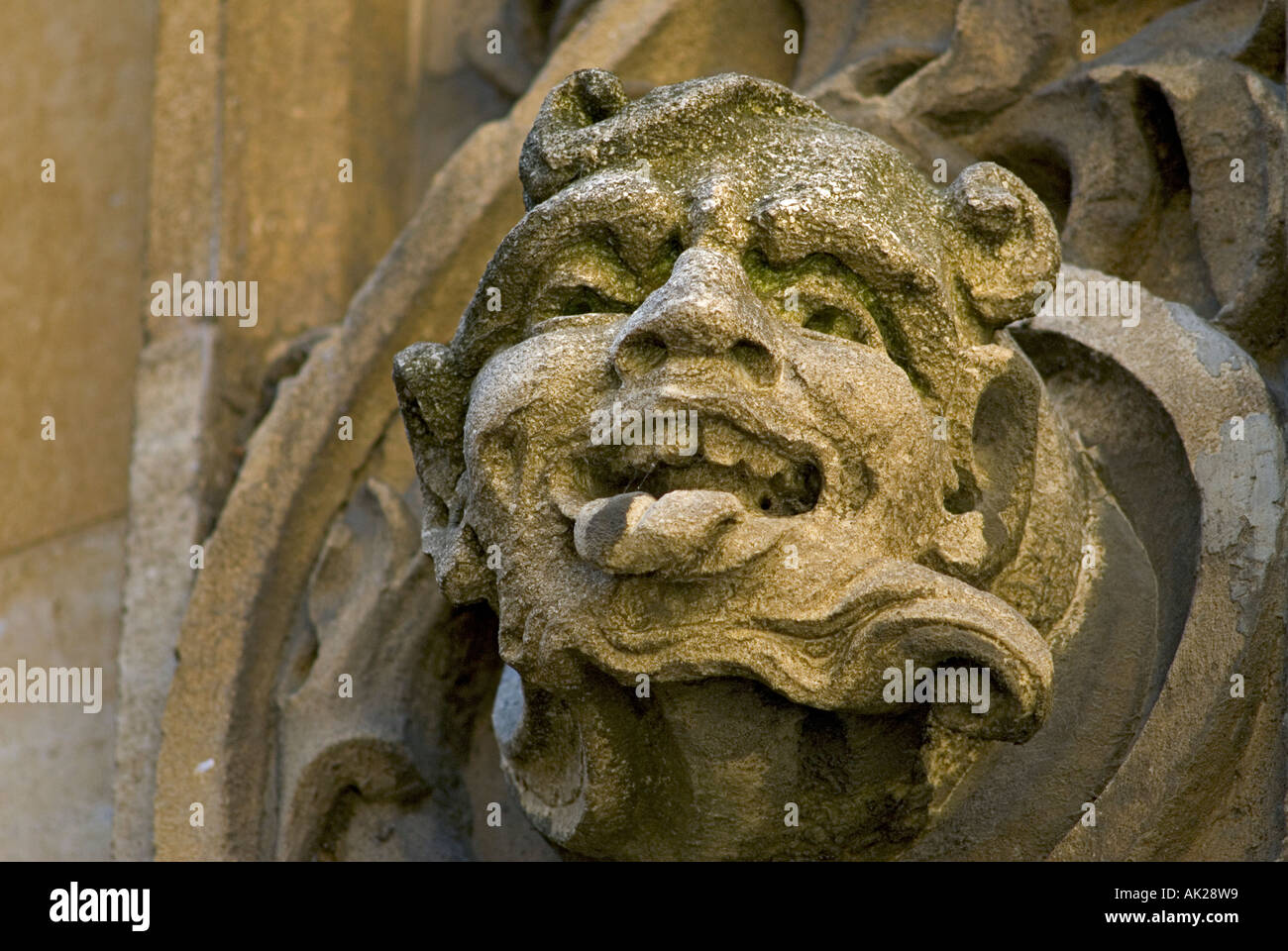 Ornate stone carvings adorning the walls of the Bodleian Library ...