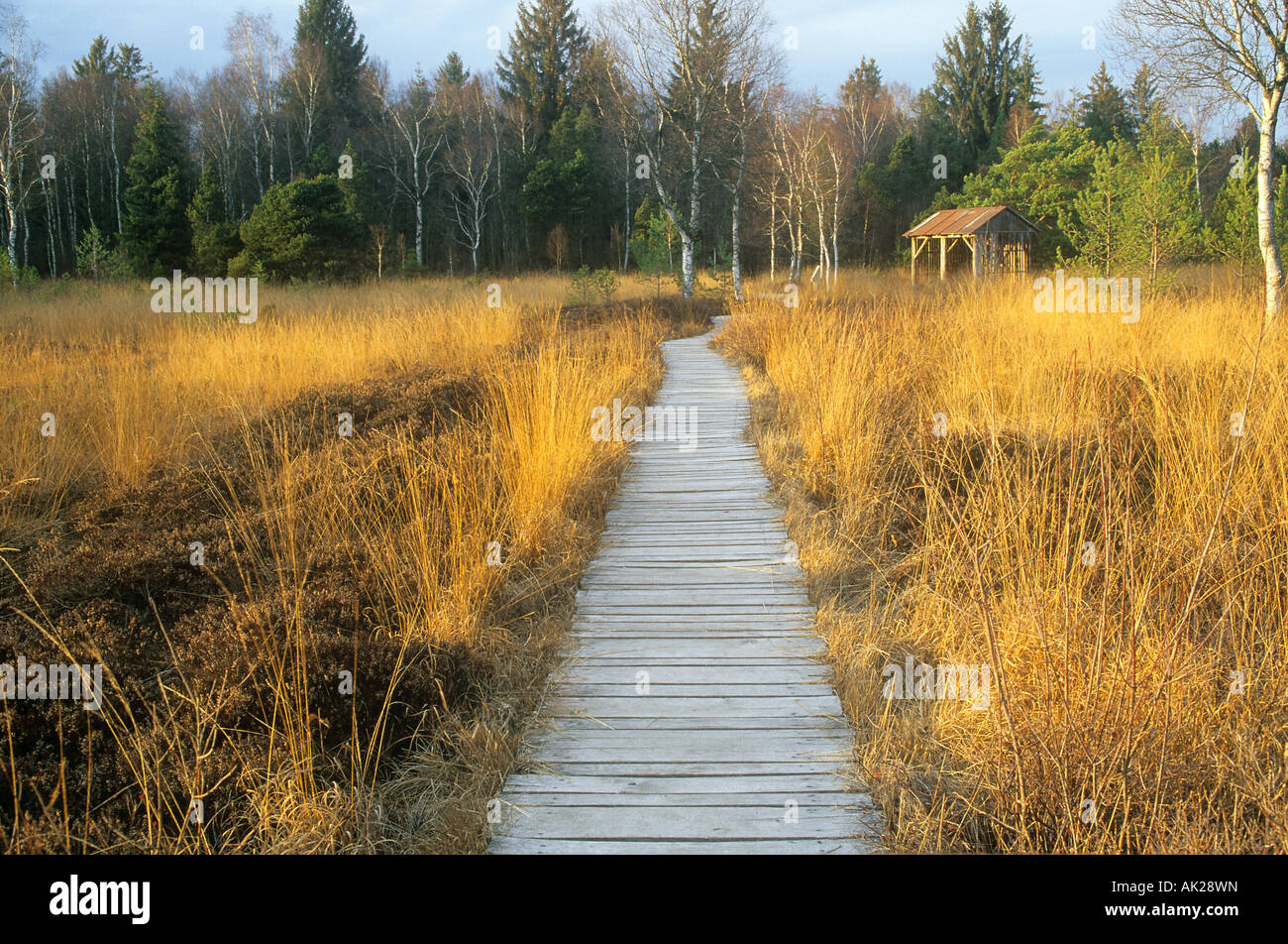 Catwalk wood hi-res stock photography and images - Alamy