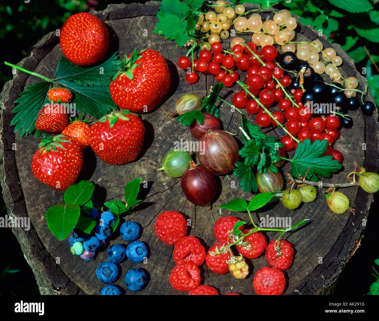 Fruits and berries Stock Photo - Alamy