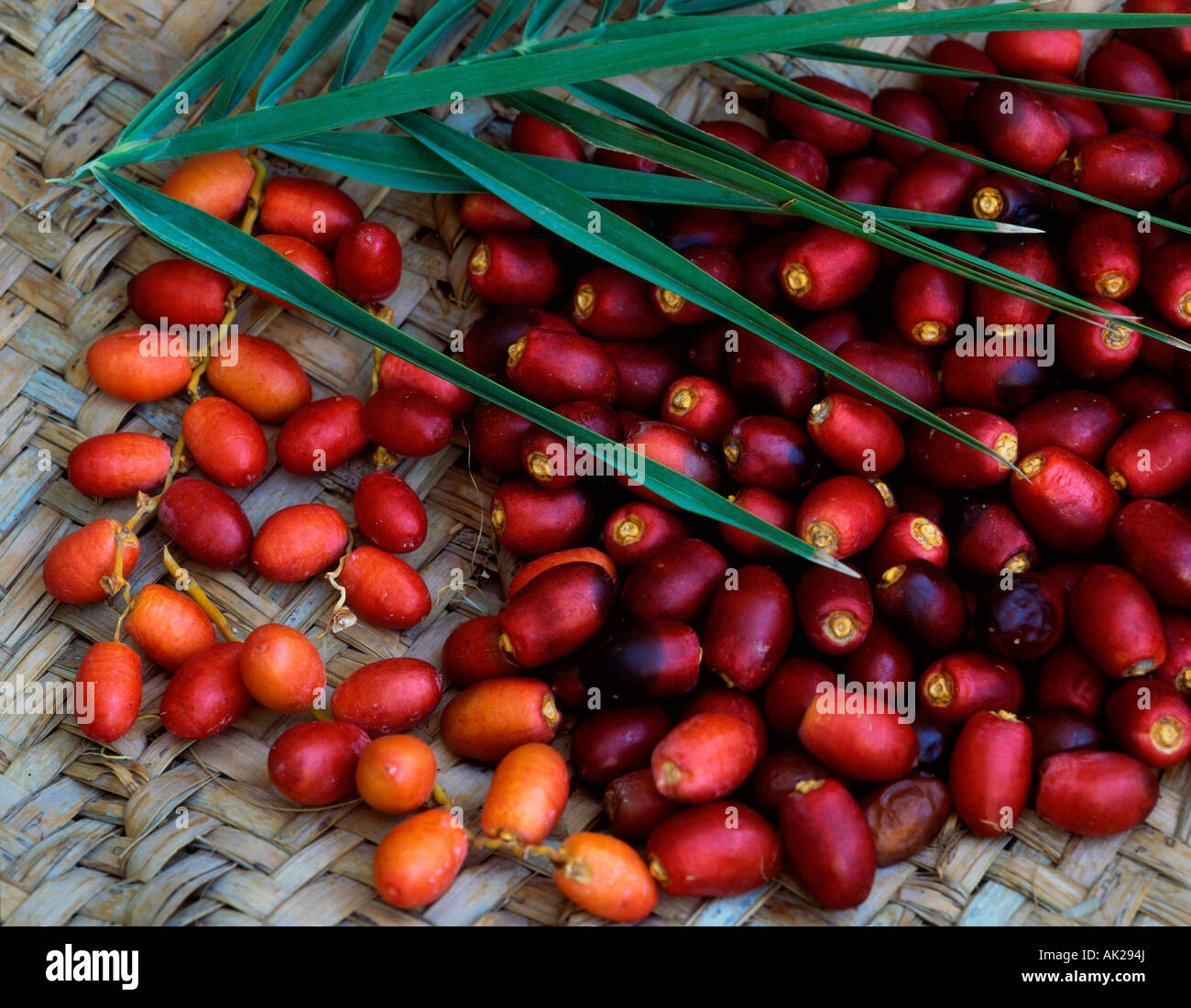 Dattel hi-res stock photography and images - Alamy
