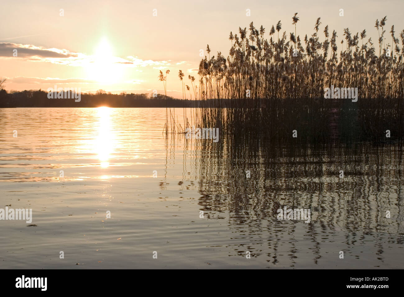Lake at evening Stock Photo - Alamy