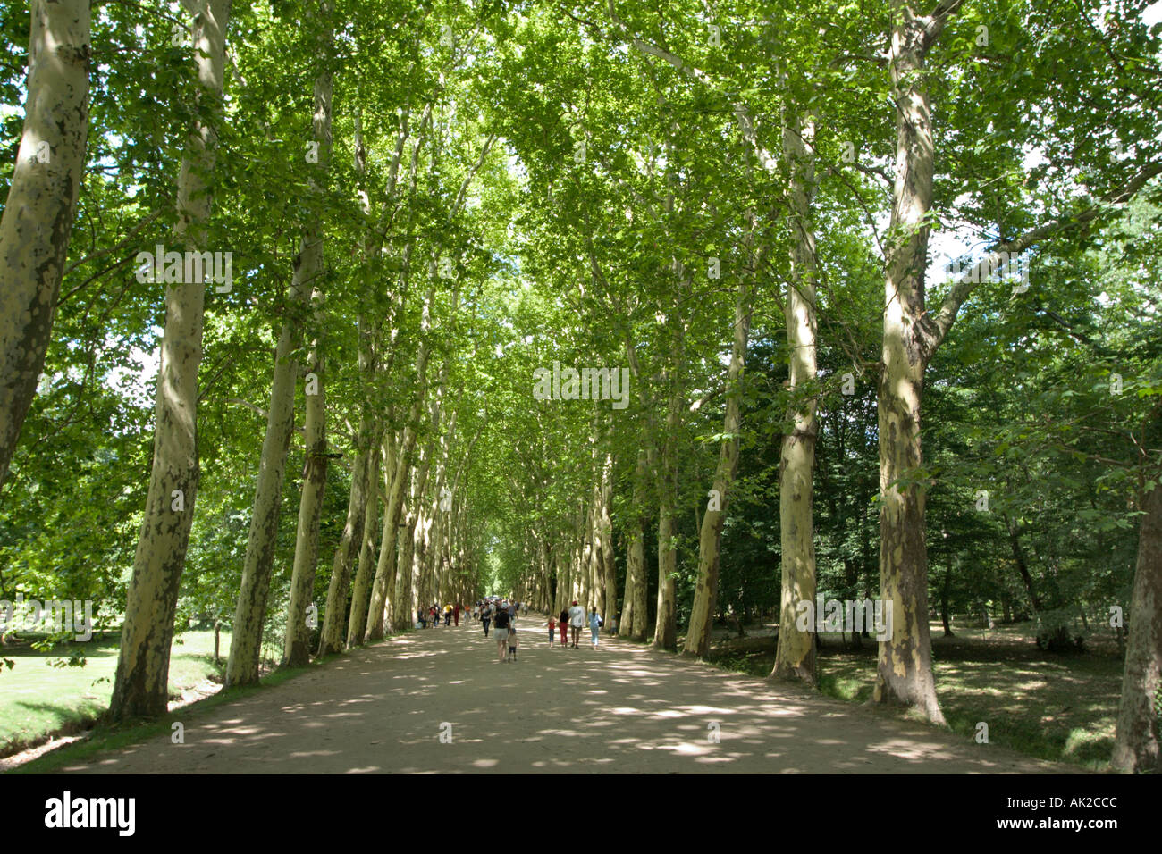 Loire valley chateaus hi-res stock photography and images - Alamy