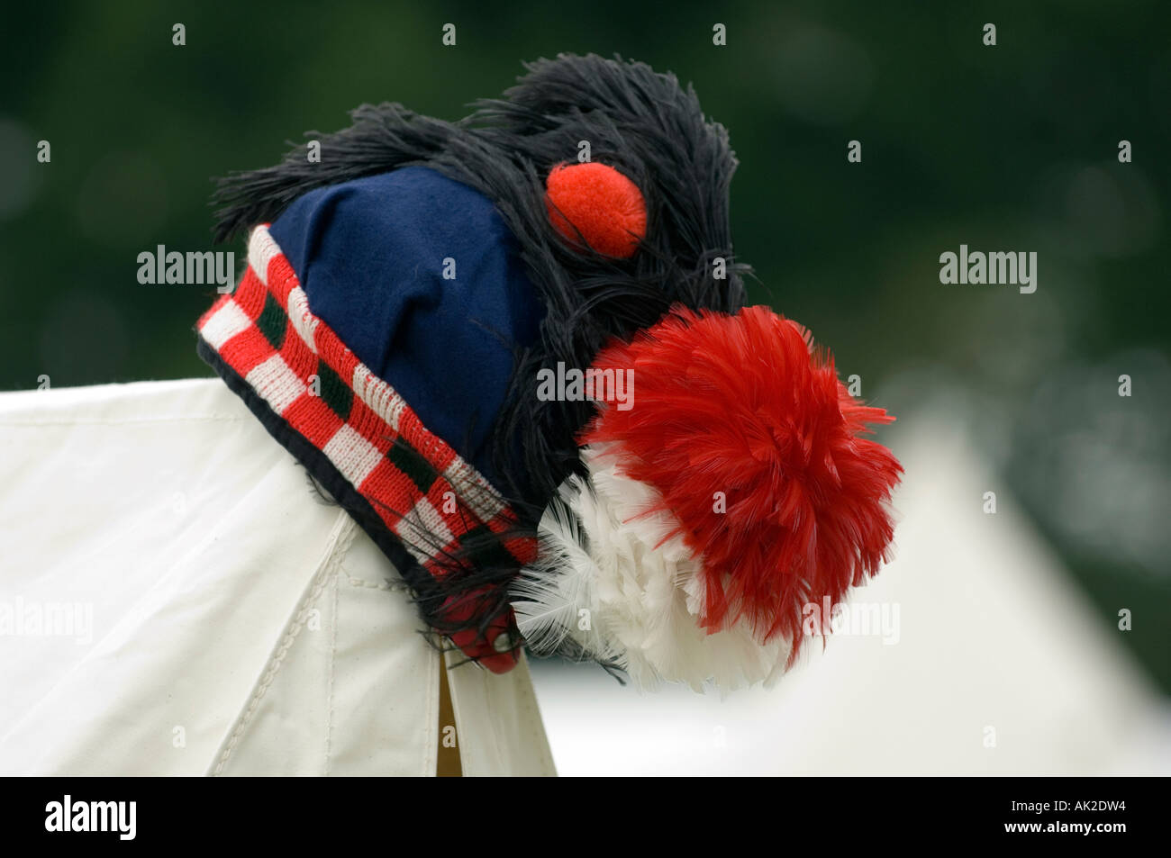 Military hat feathers hi-res stock photography and images - Alamy