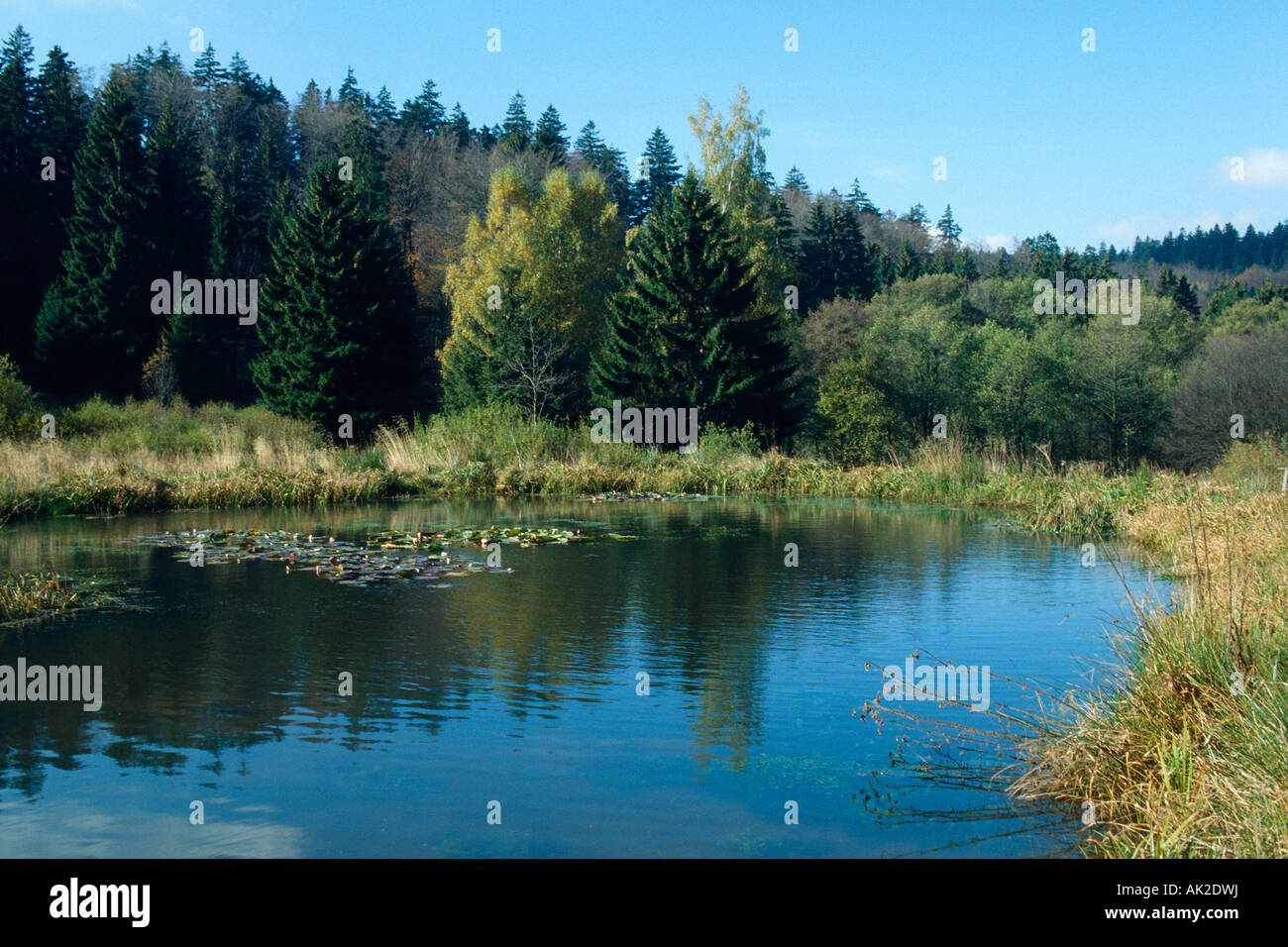 Ruhla germany hi-res stock photography and images - Alamy