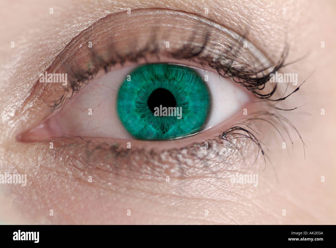 Human Females Jealous Green Eye Close Up Stock Photo - Alamy