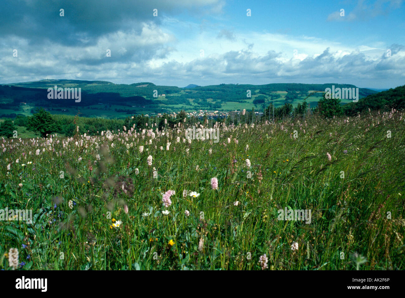 Biosphere preserve rhon hi-res stock photography and images - Alamy