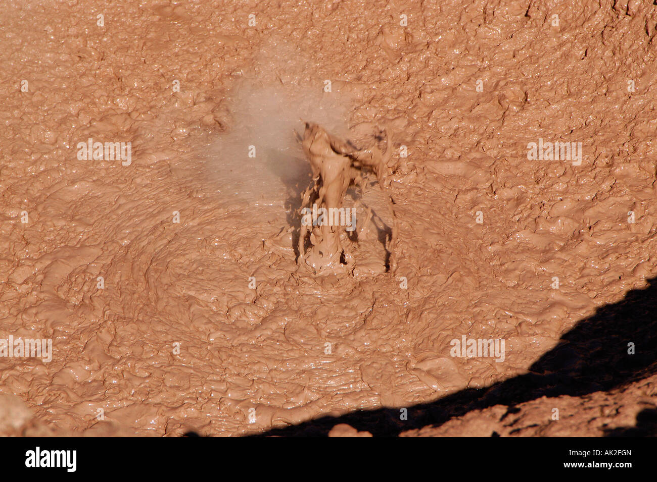 Geyser Valley / Uzon Caldera Stock Photo - Alamy