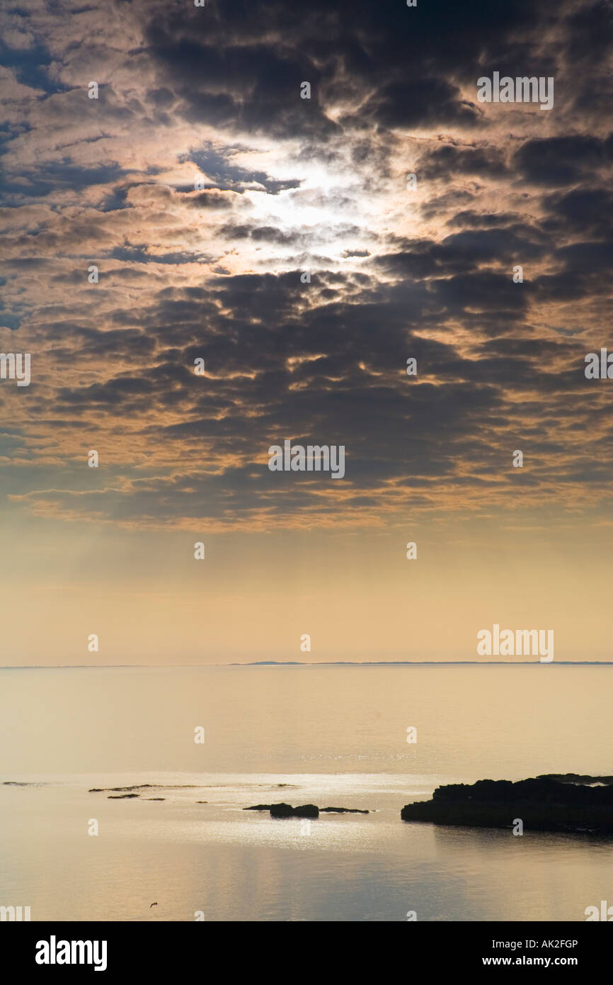 Mull birdwatching hi-res stock photography and images - Alamy