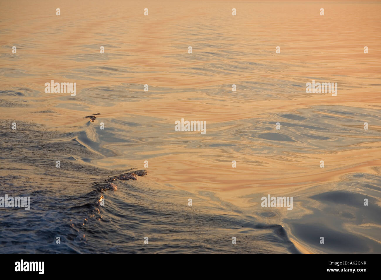 Wave pattern in evening light Mull Scotland Stock Photo - Alamy