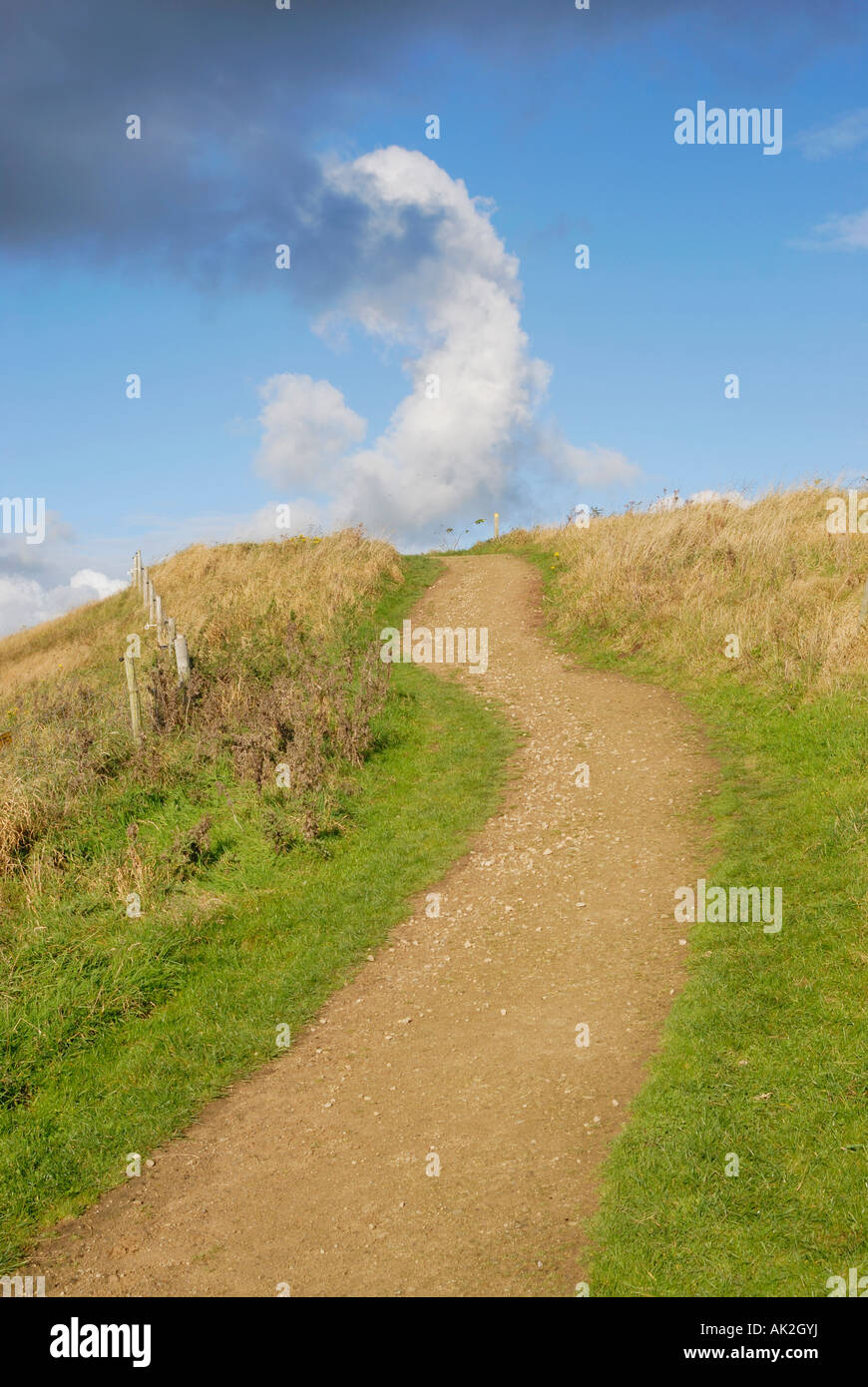 The Sandstone Trail footpath leading up Old Pale on Eddisbury Hill in ...