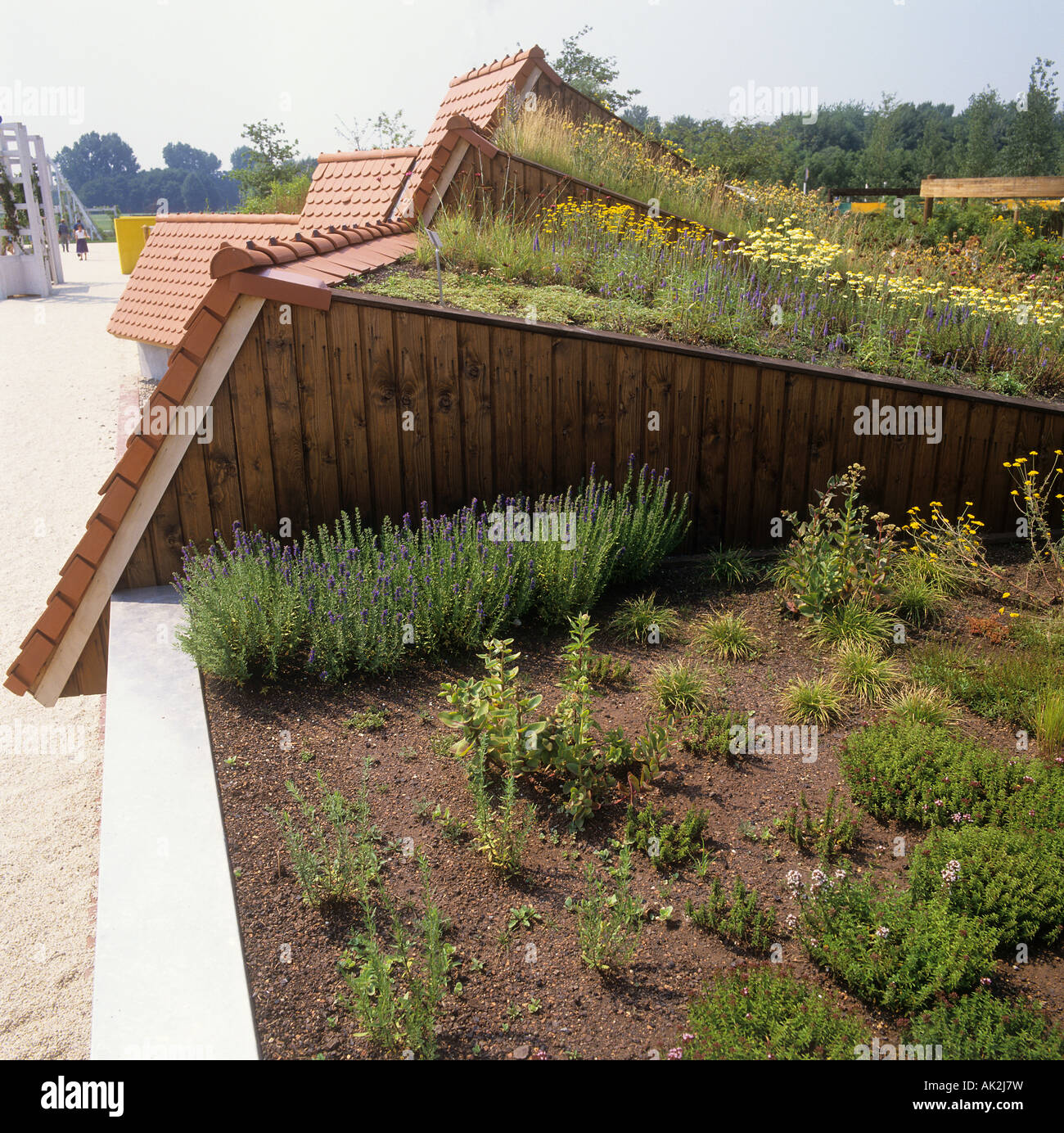 Plant on roof hi-res stock photography and images - Alamy