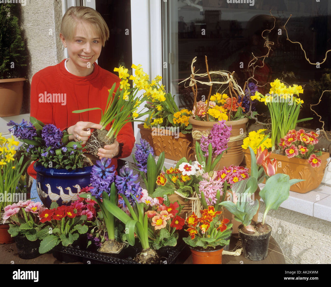 woman planting flowers Stock Photo - Alamy