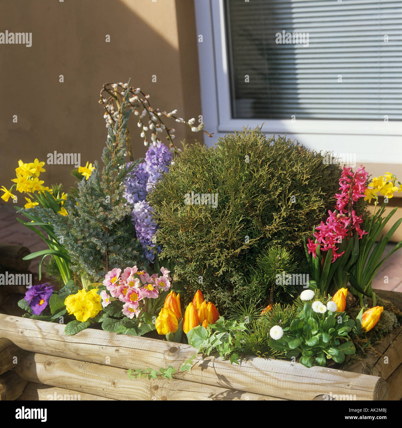 Spring flowres hi-res stock photography and images - Alamy