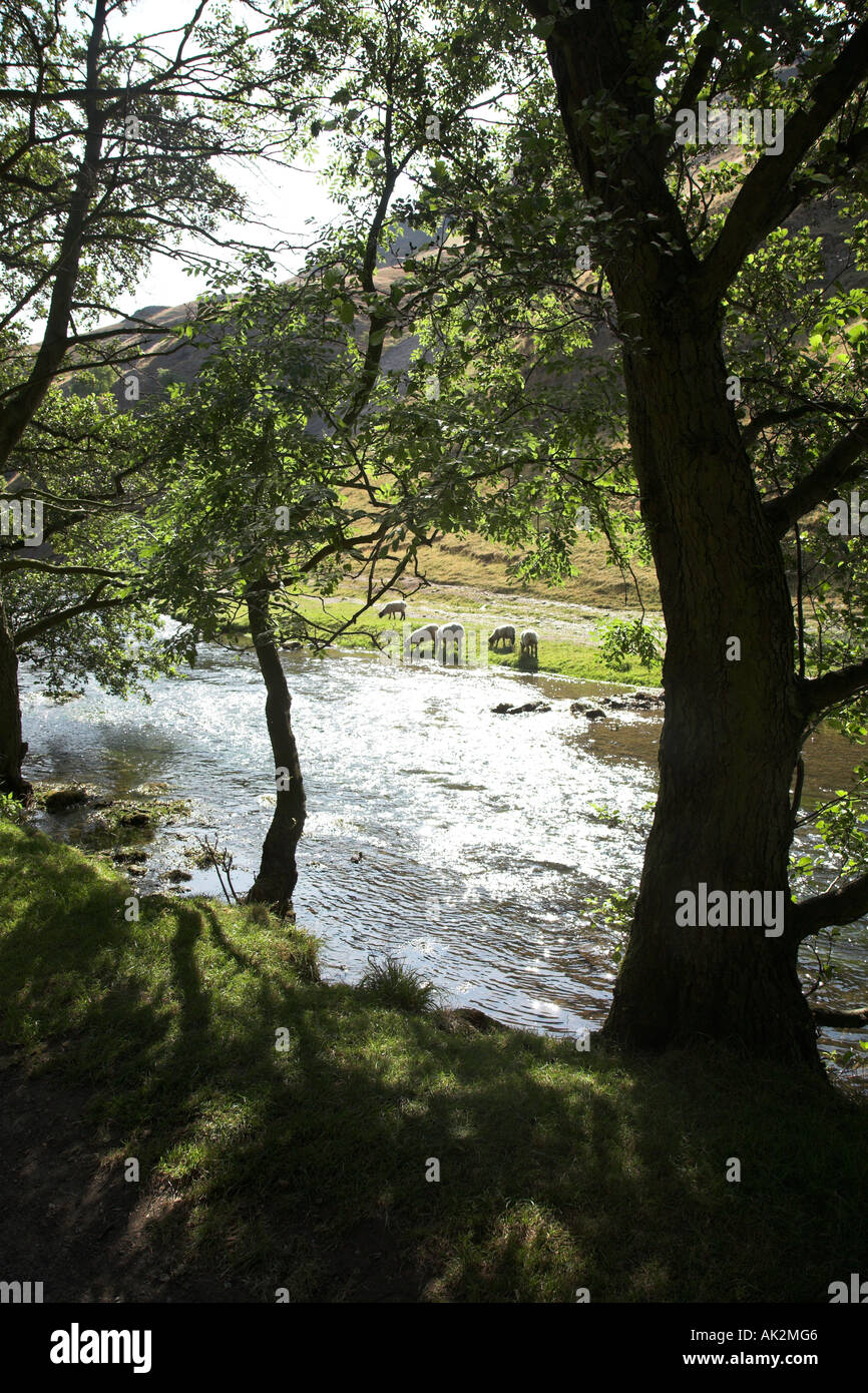 Dovedale, River Dove, limestone valley, Peak District national Park ...