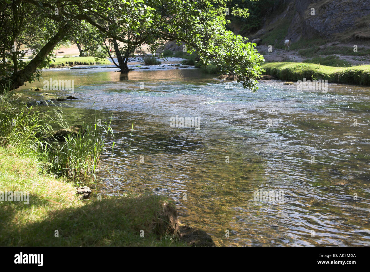Dovedale, River Dove, limestone valley, Peak District national Park ...