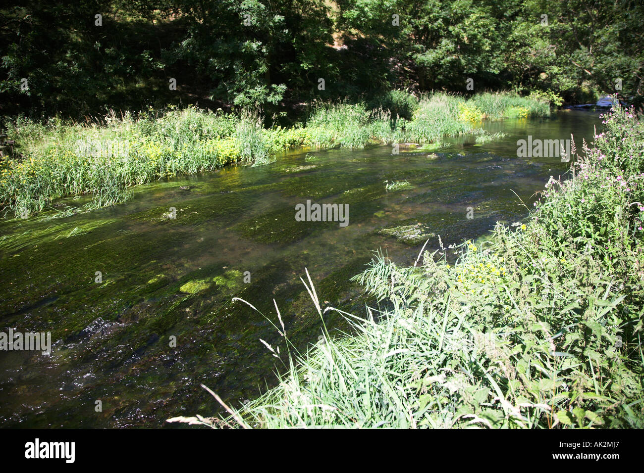 River Dove and Dovedale Peak District national park, Derbyshire ...