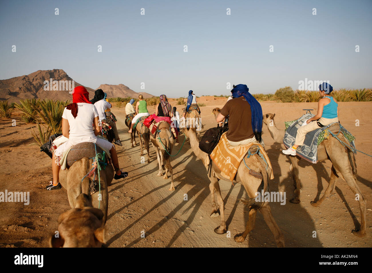 Camel rides. Sahara desert, Morocco. North Africa Stock Photo - Alamy
