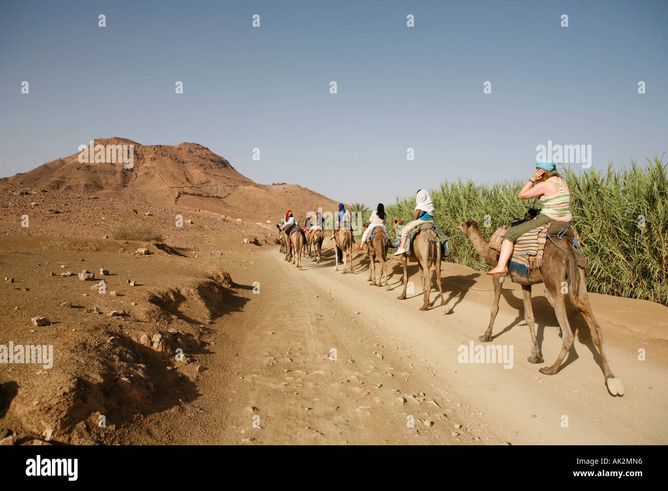 Camel rides. Sahara desert, Morocco. North Africa Stock Photo - Alamy