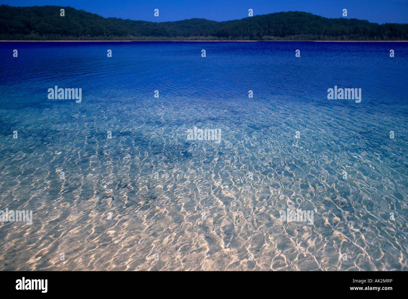 Fraser island queensland birrabeen hi-res stock photography and images ...