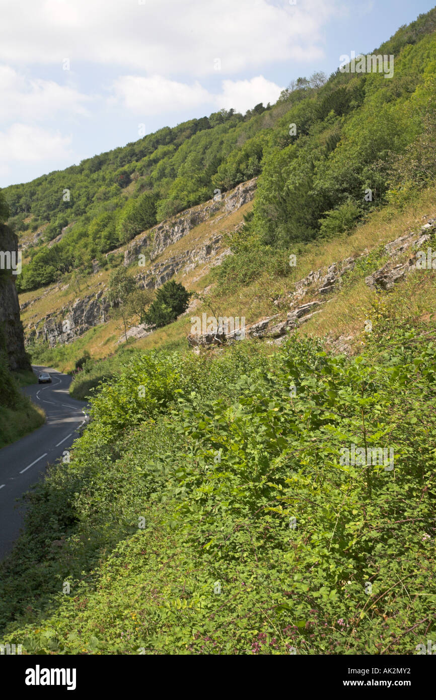 Car driving through Cheddar Gorge, Somerset, England Stock Photo - Alamy