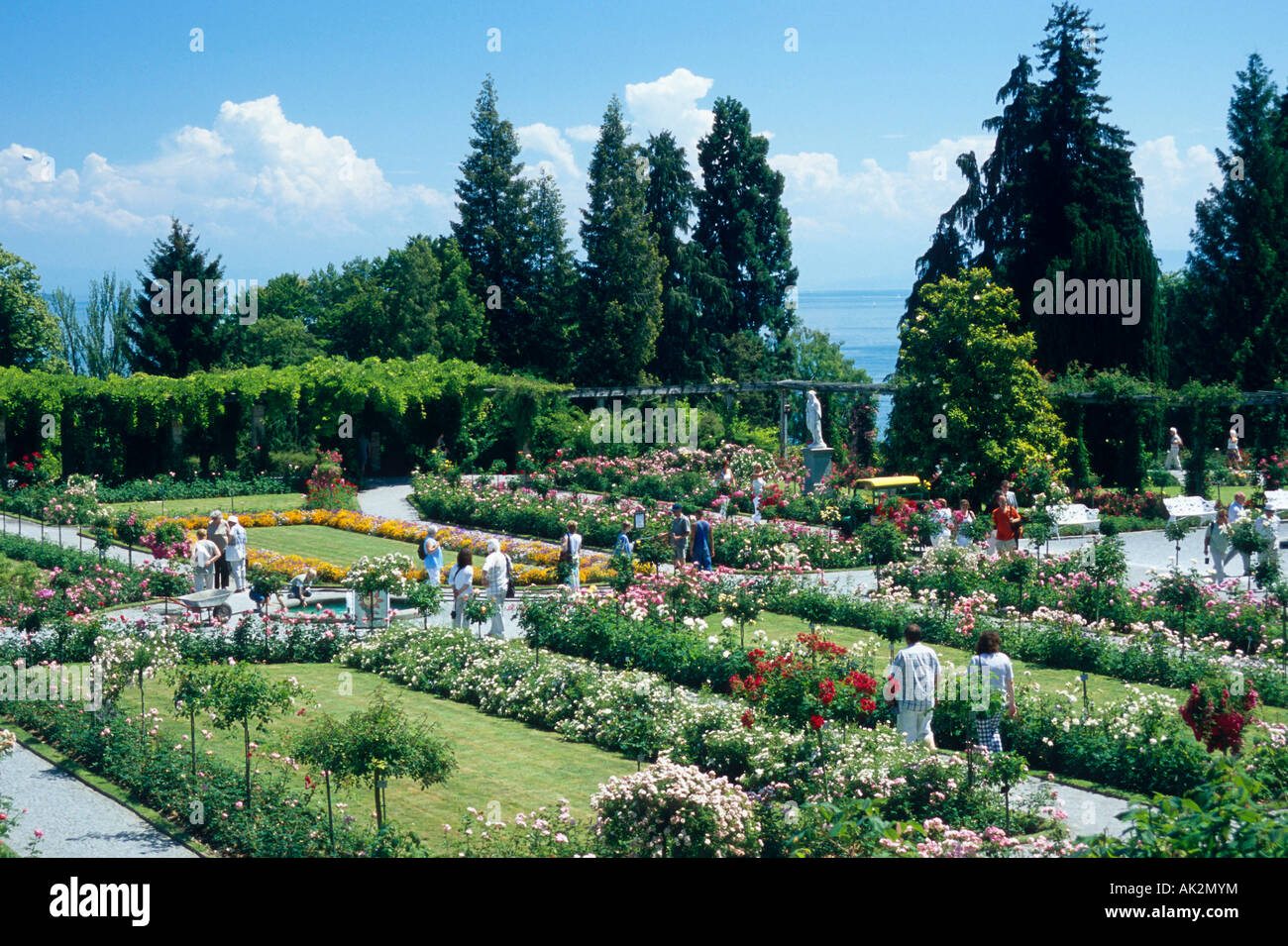 Rose garden / Isle of Mainau Stock Photo - Alamy