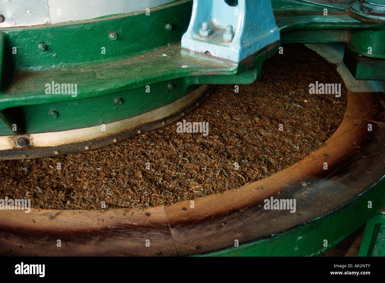 Tea factory, Nuwara Eliya Stock Photo - Alamy