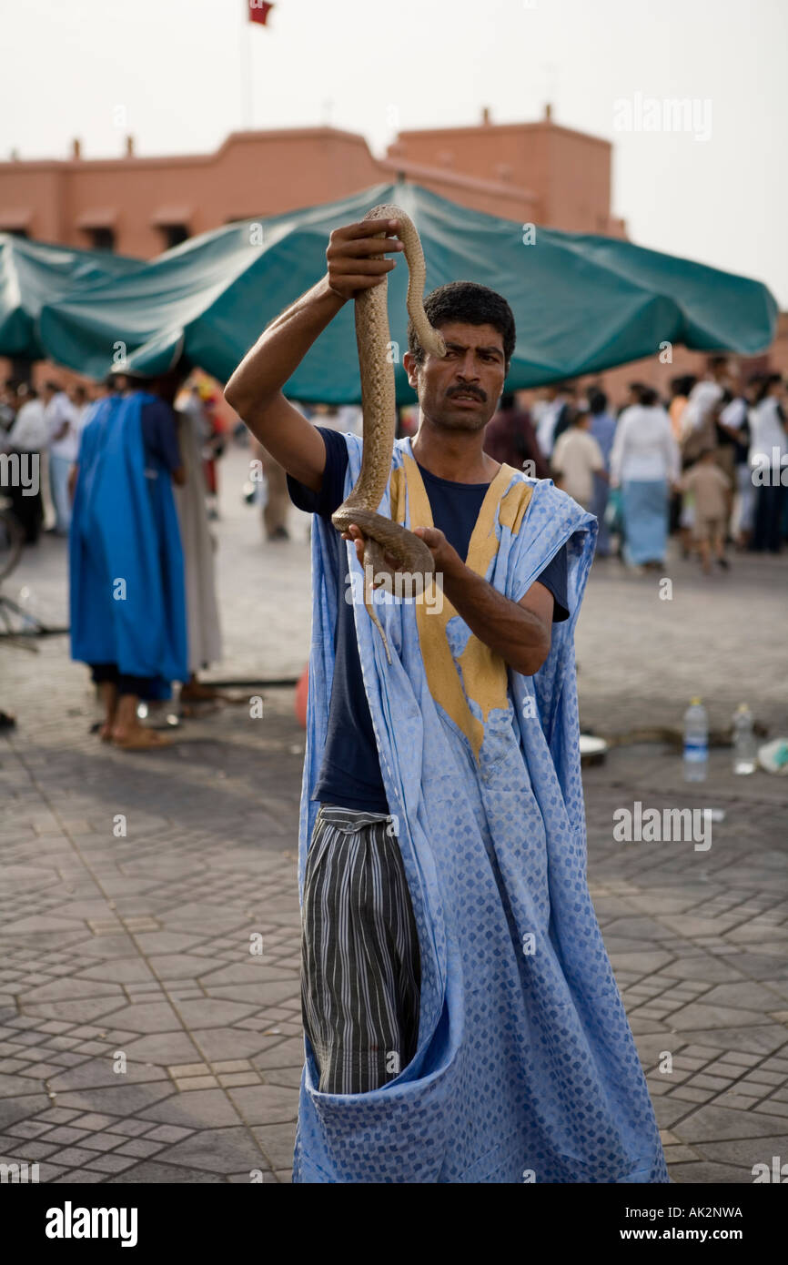 Marrakesh snakes hi-res stock photography and images - Alamy
