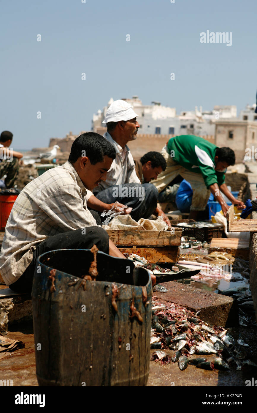 Morroco fish hi-res stock photography and images - Alamy