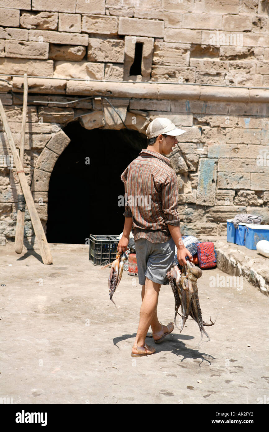 Morroco fish hi-res stock photography and images - Alamy
