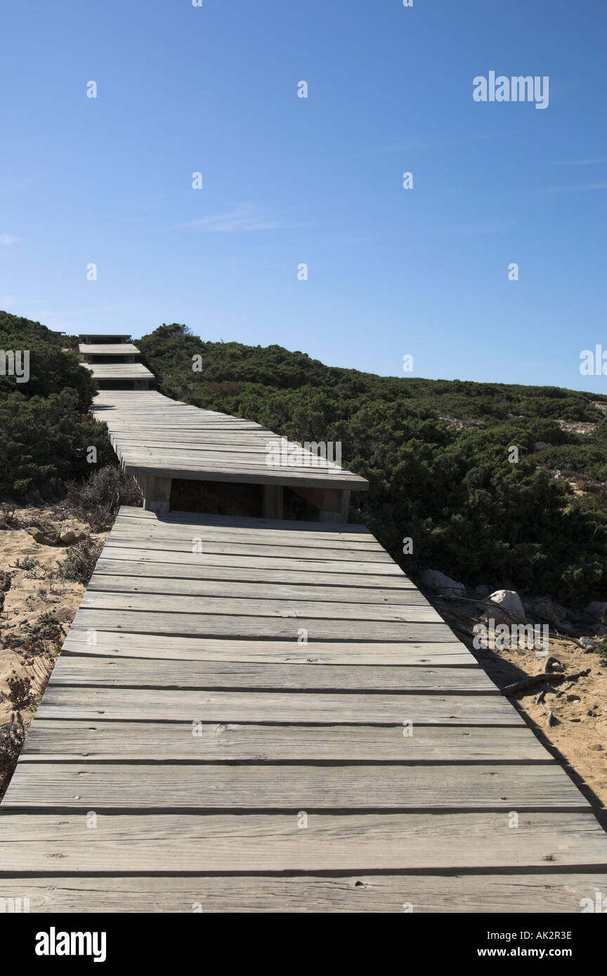 Raised wooden boardwalk pathway hi-res stock photography and images - Alamy
