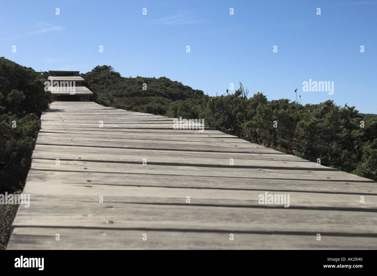 Raised wooden boardwalk pathway hi-res stock photography and images - Alamy