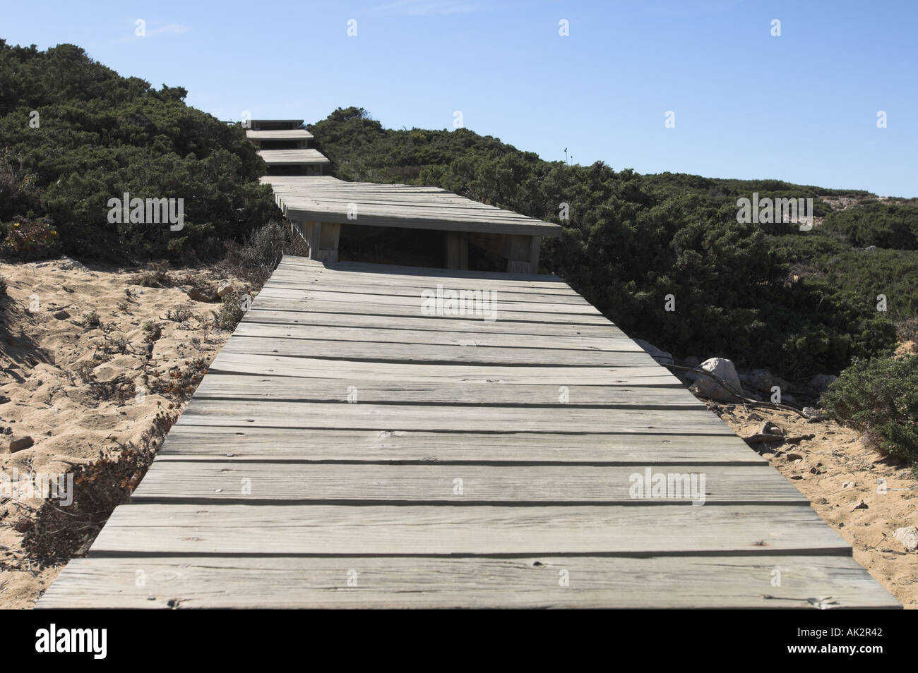 Raised wooden boardwalk pathway hi-res stock photography and images - Alamy