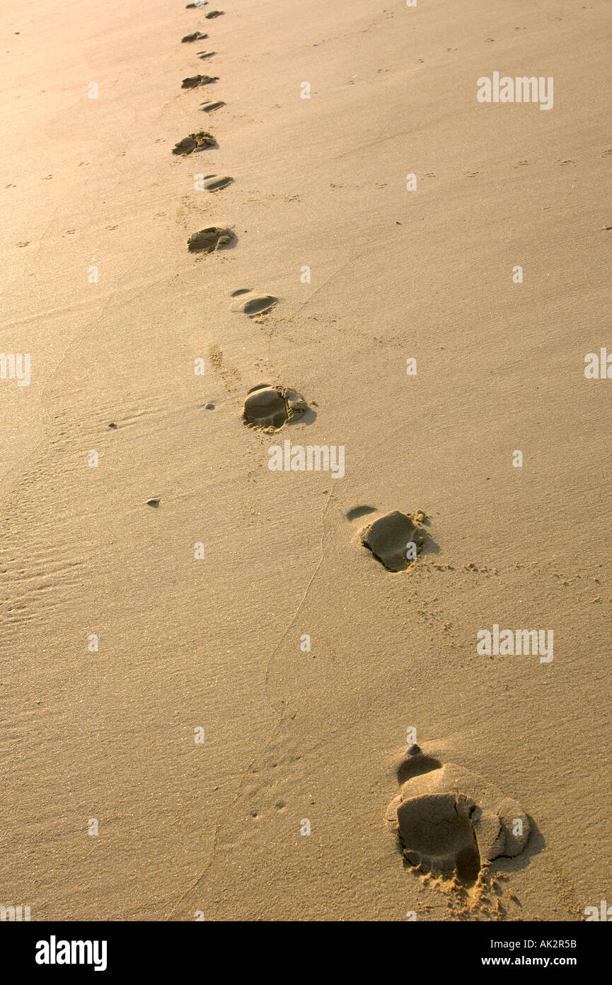 footprints in the sand Stock Photo - Alamy