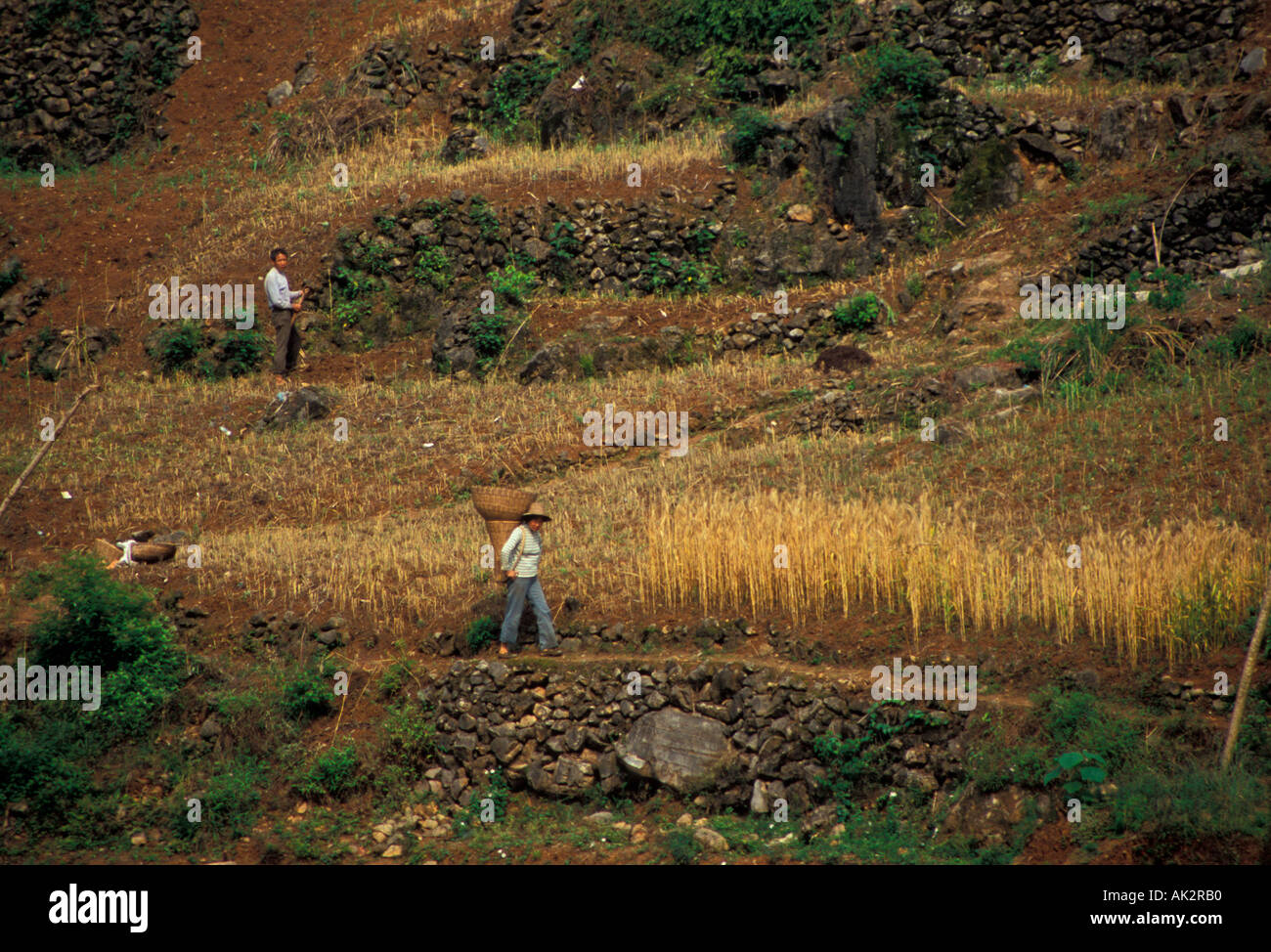 Shenhong stream riverbank farming China Stock Photo - Alamy