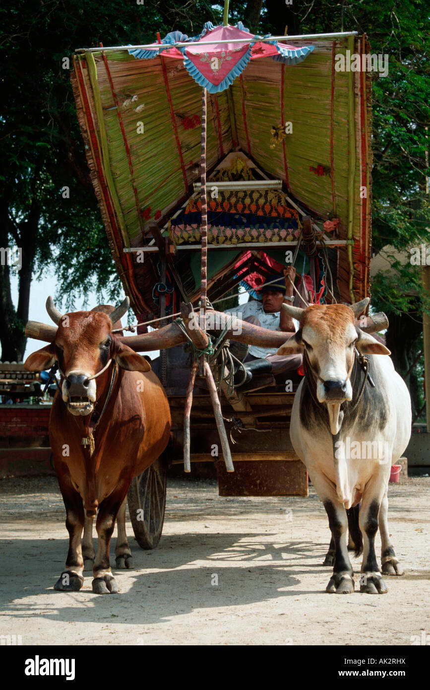 Human yoke hi-res stock photography and images - Alamy