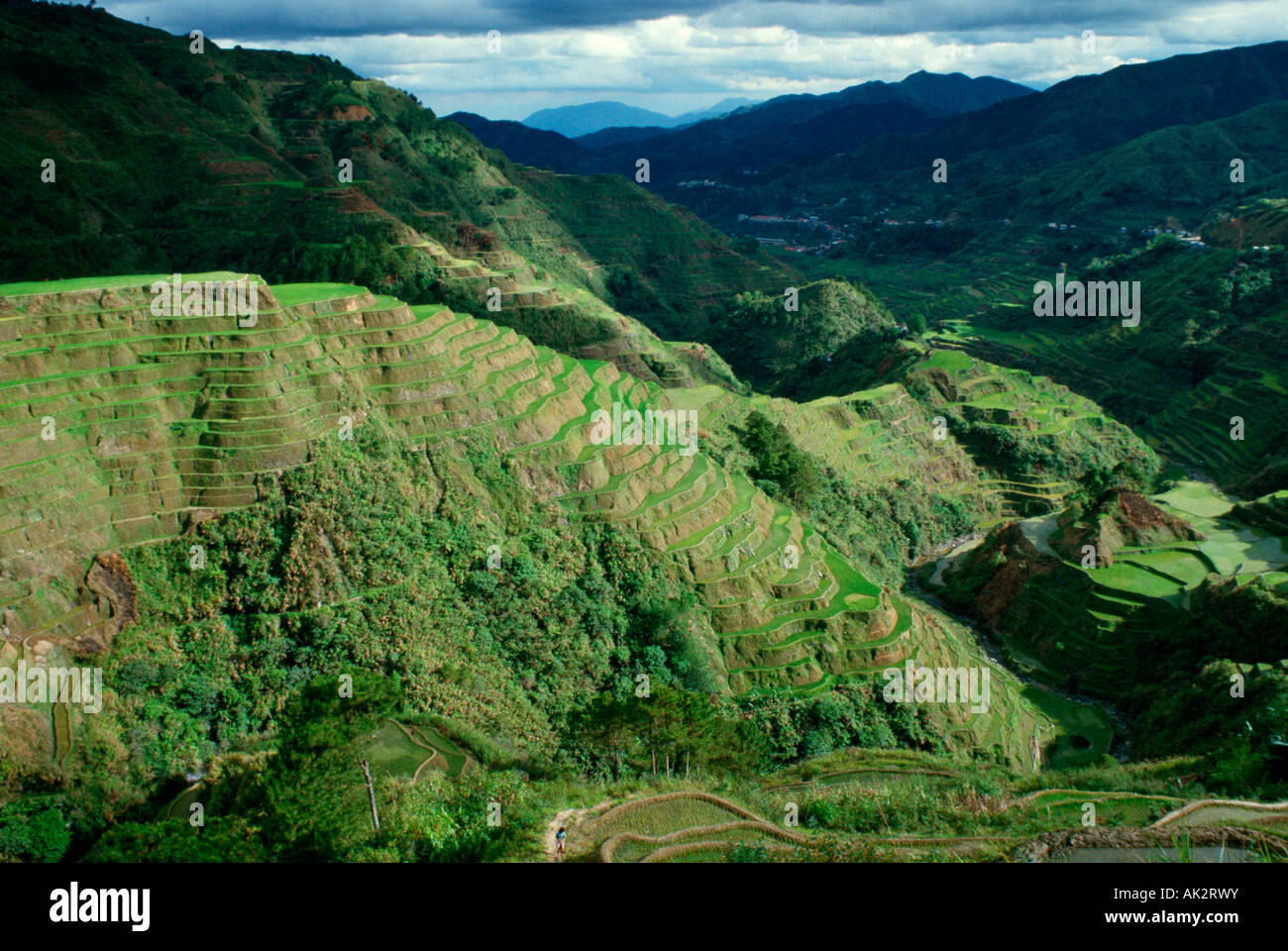 Rice terraces, Banaue Stock Photo - Alamy