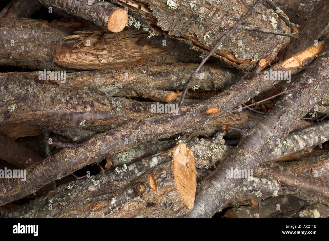 piles of cut wood Stock Photo - Alamy