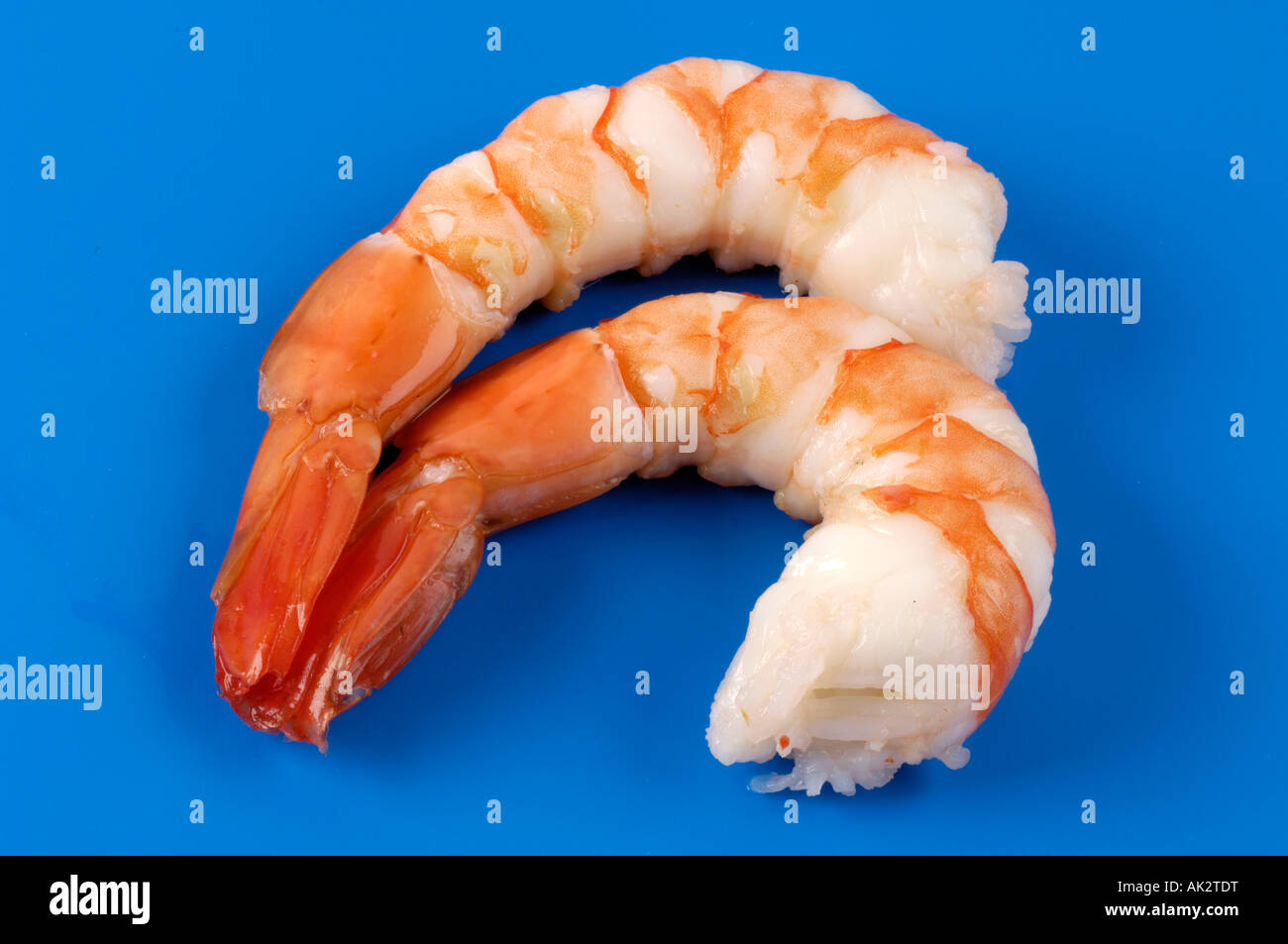 King prawn cut out hi-res stock photography and images - Alamy