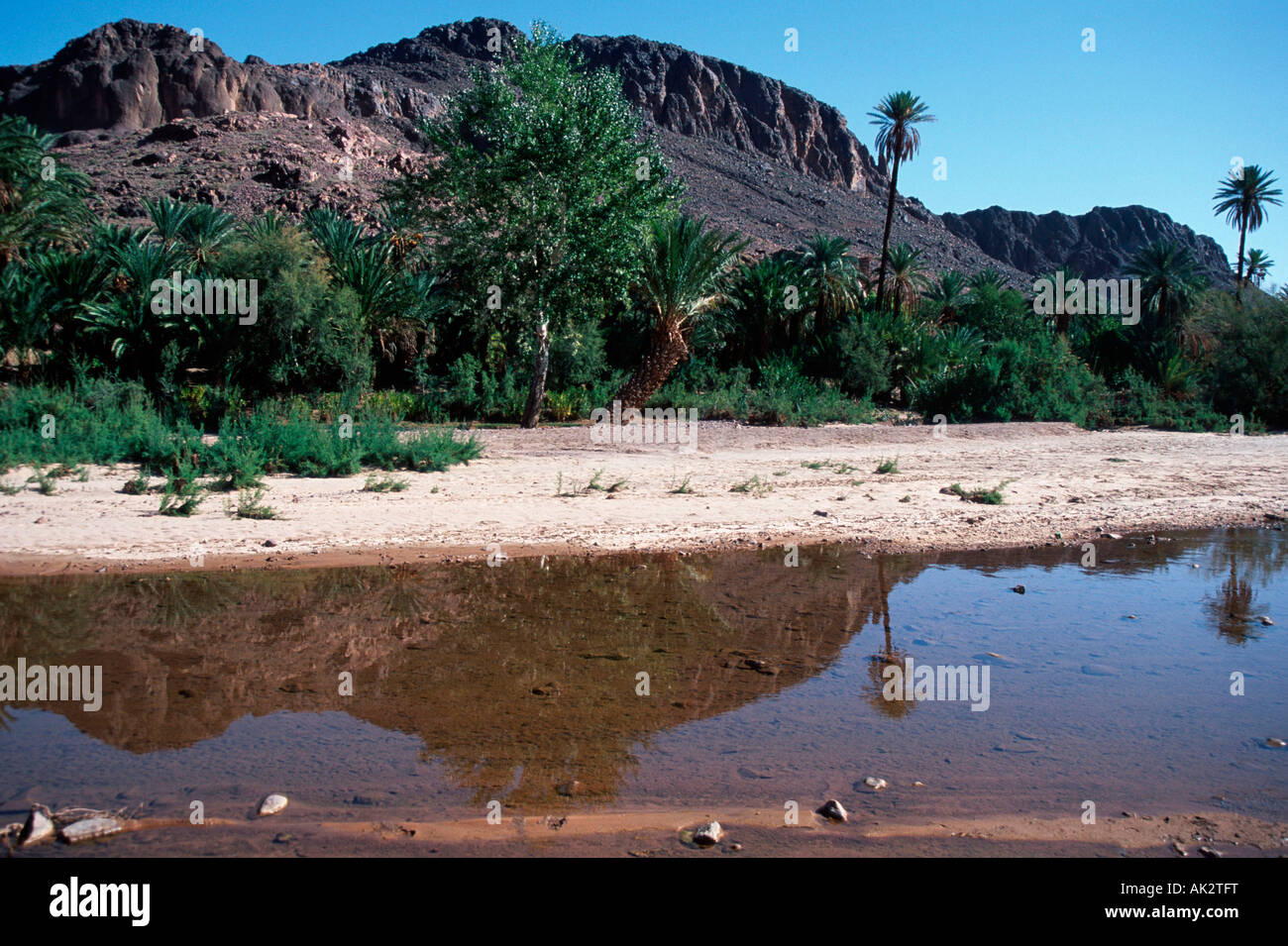 Fint oasis hi-res stock photography and images - Alamy