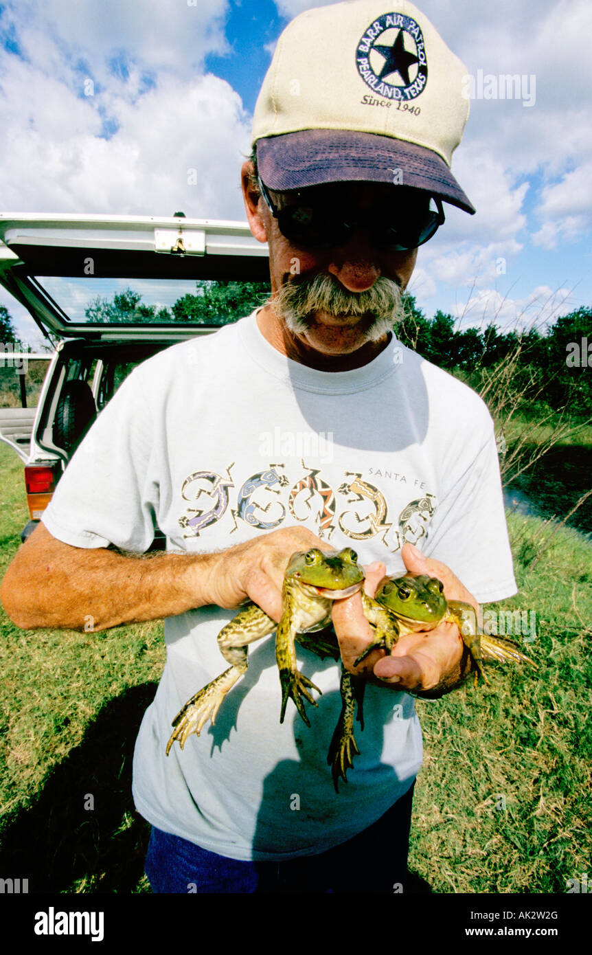 Bullfrogs beard hi-res stock photography and images - Alamy