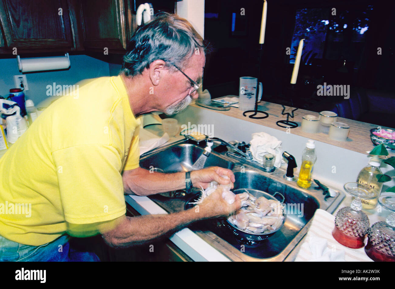 Cleaning frog legs of north american bullfrog hi-res stock photography ...