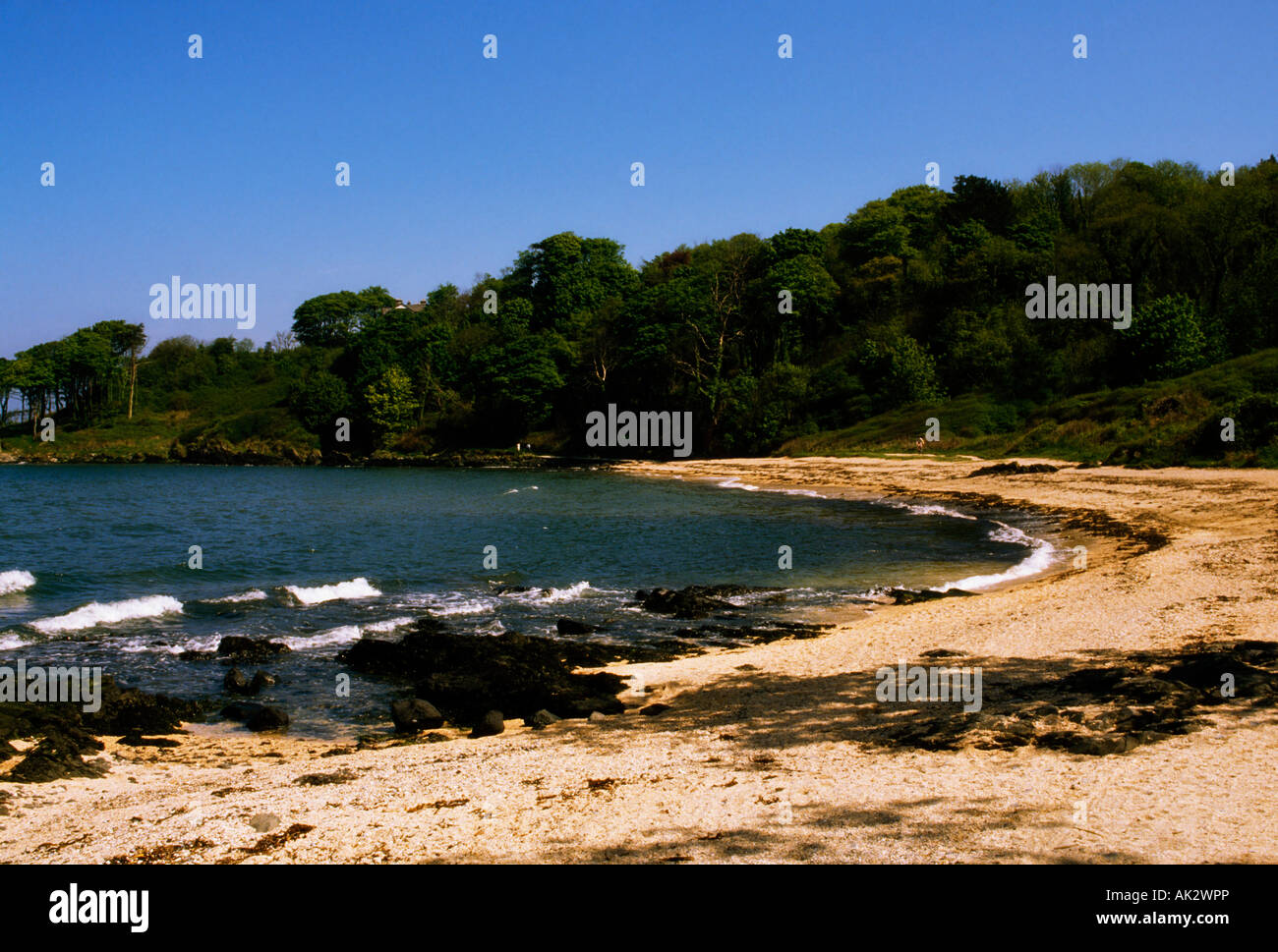 Crawfordsburn beach hi-res stock photography and images - Alamy