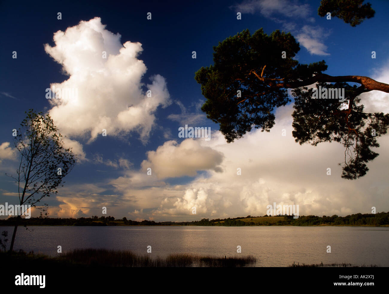 Lakes ireland cavan hi-res stock photography and images - Alamy