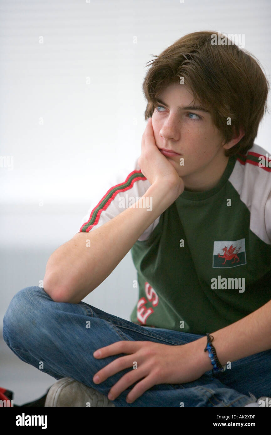 Portrait of a schoolboy Stock Photo - Alamy