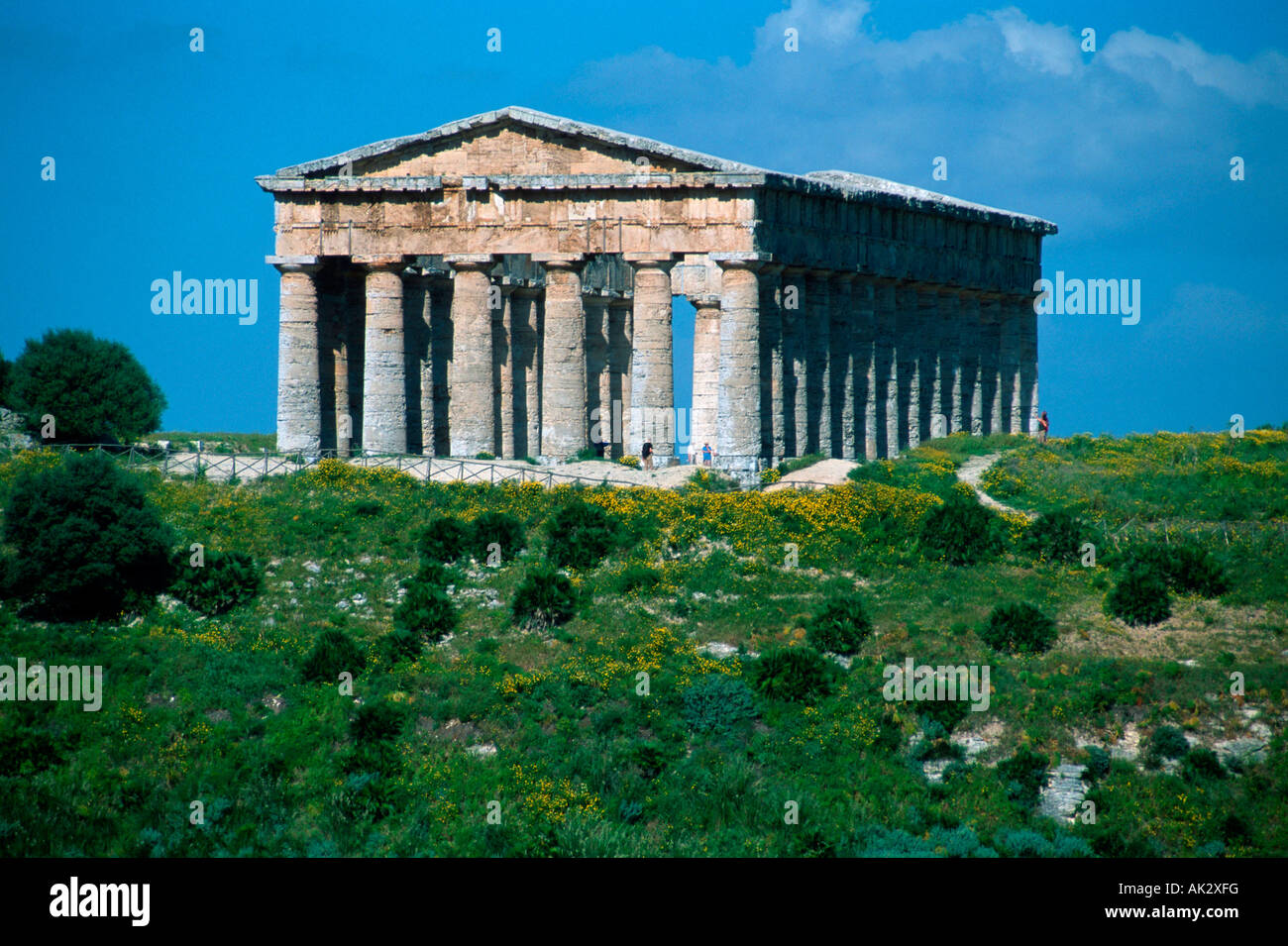 Greek temple, Segesta Stock Photo - Alamy